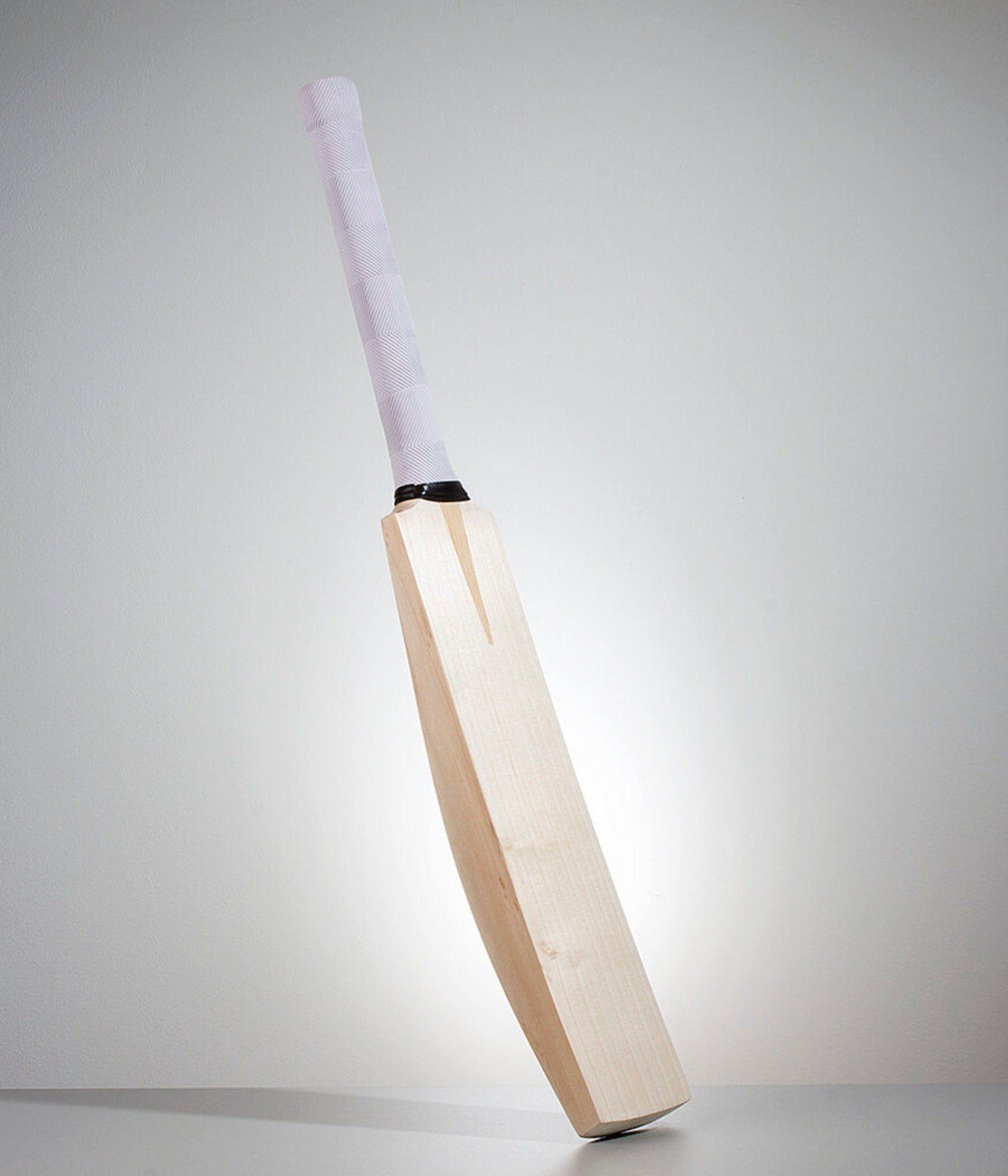 Fielding Catch Bat